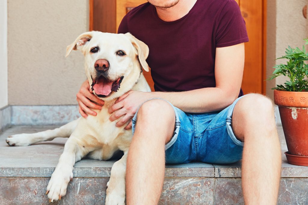 Pet Sitting (Dog & Cat) - K9 Petcare